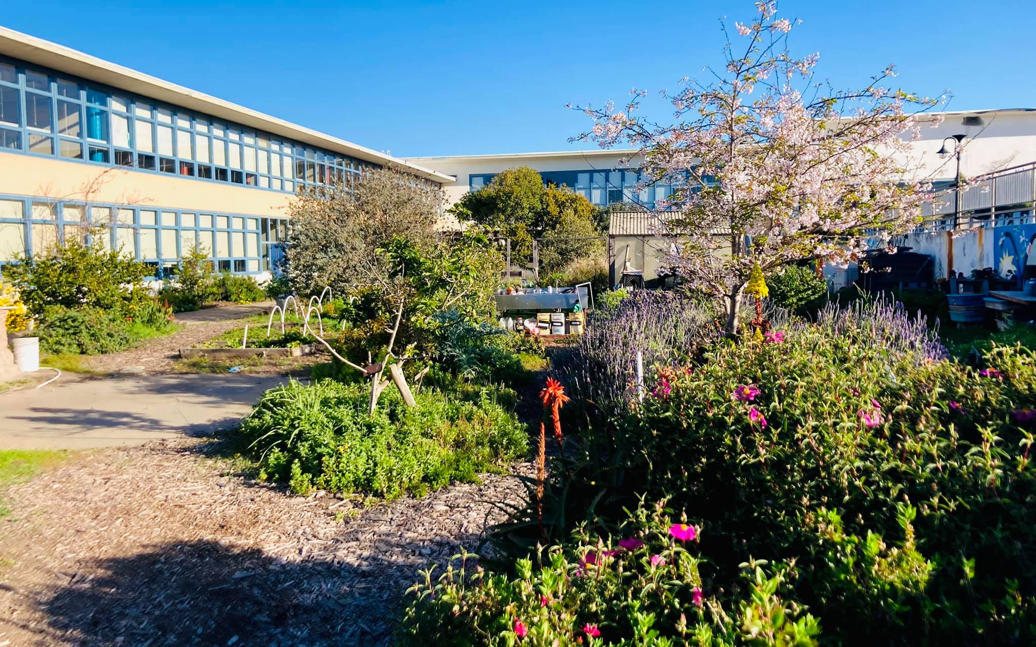 A.P. Giannini Middle School PTSA – APG 家长教师学生会